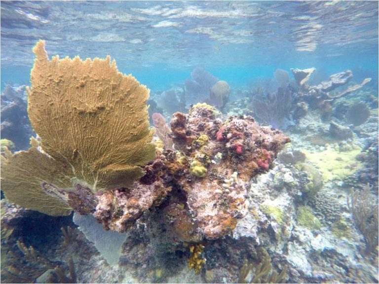 Practical Travel Tips: Culebra Island, Puerto Rico. – The Flight Deal